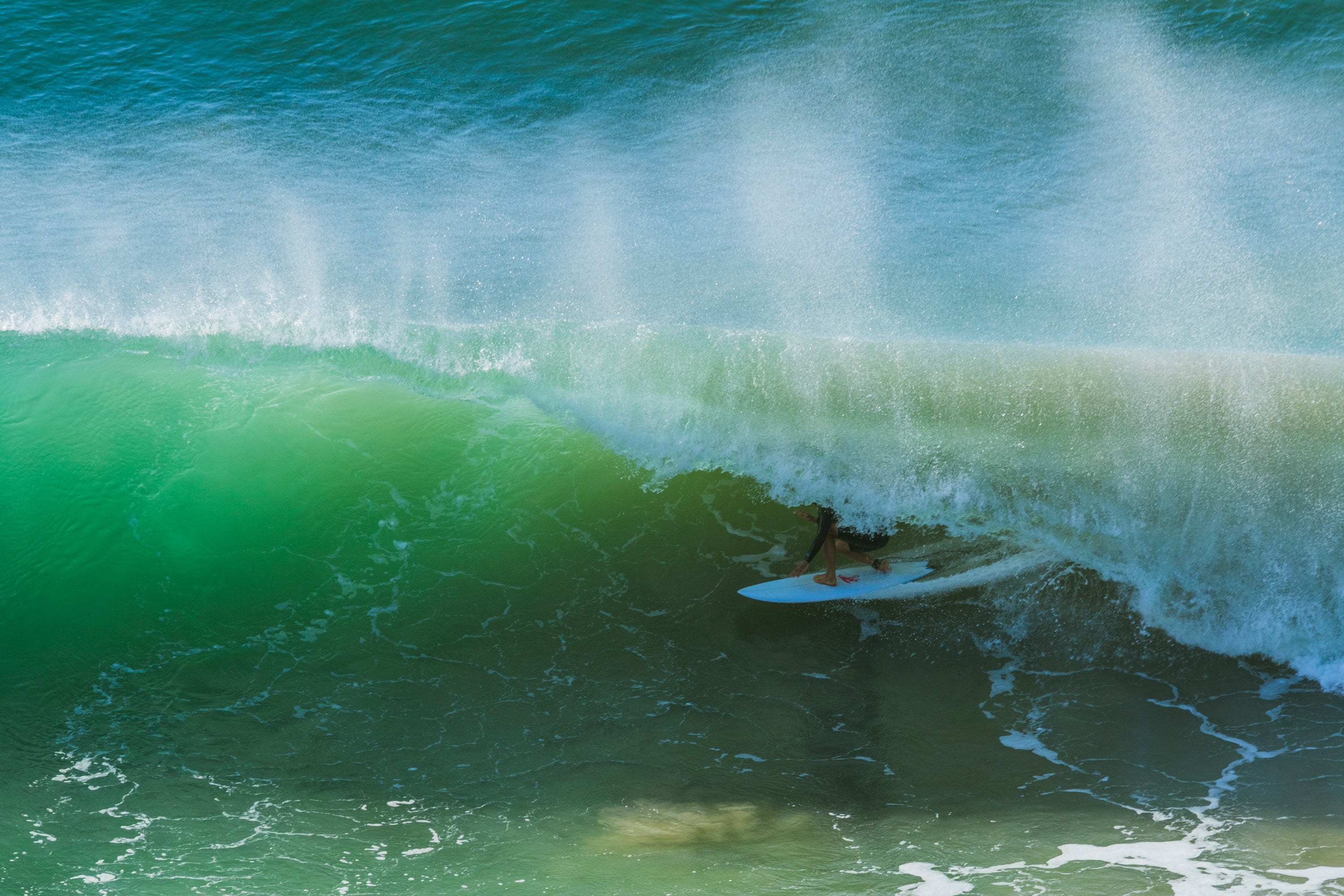 In the Family of Things - Patagonia New Zealand
