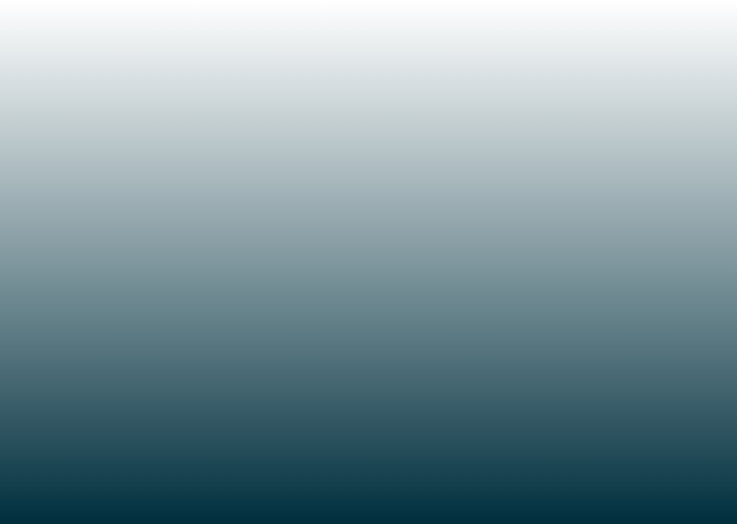 NetPlus® - Patagonia New Zealand