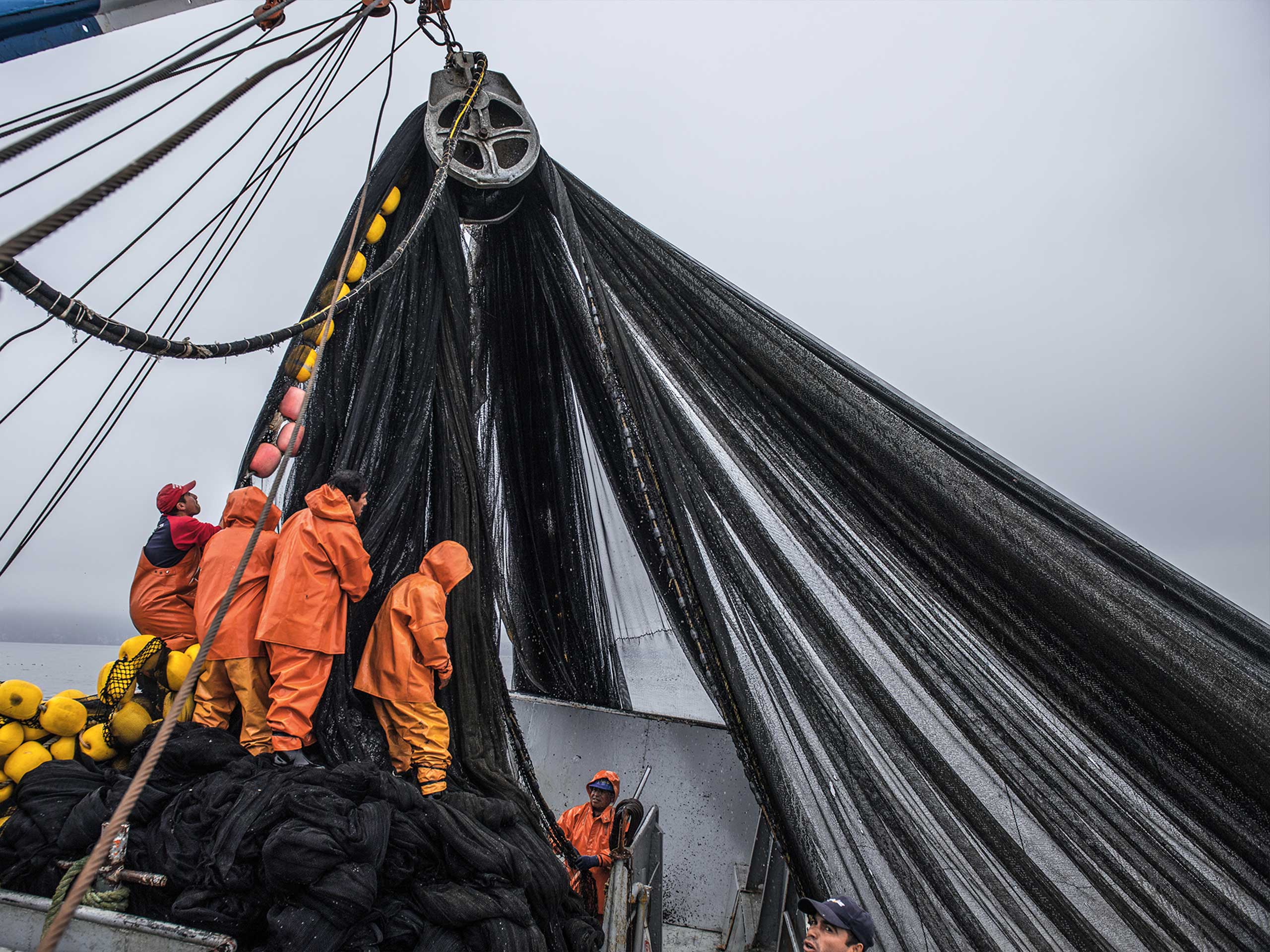 NetPlus® - Patagonia New Zealand