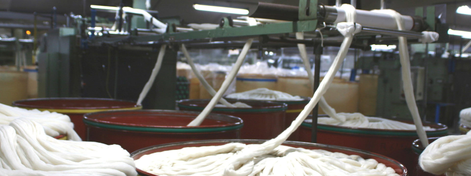 Responsible Wool Standard - Patagonia New Zealand